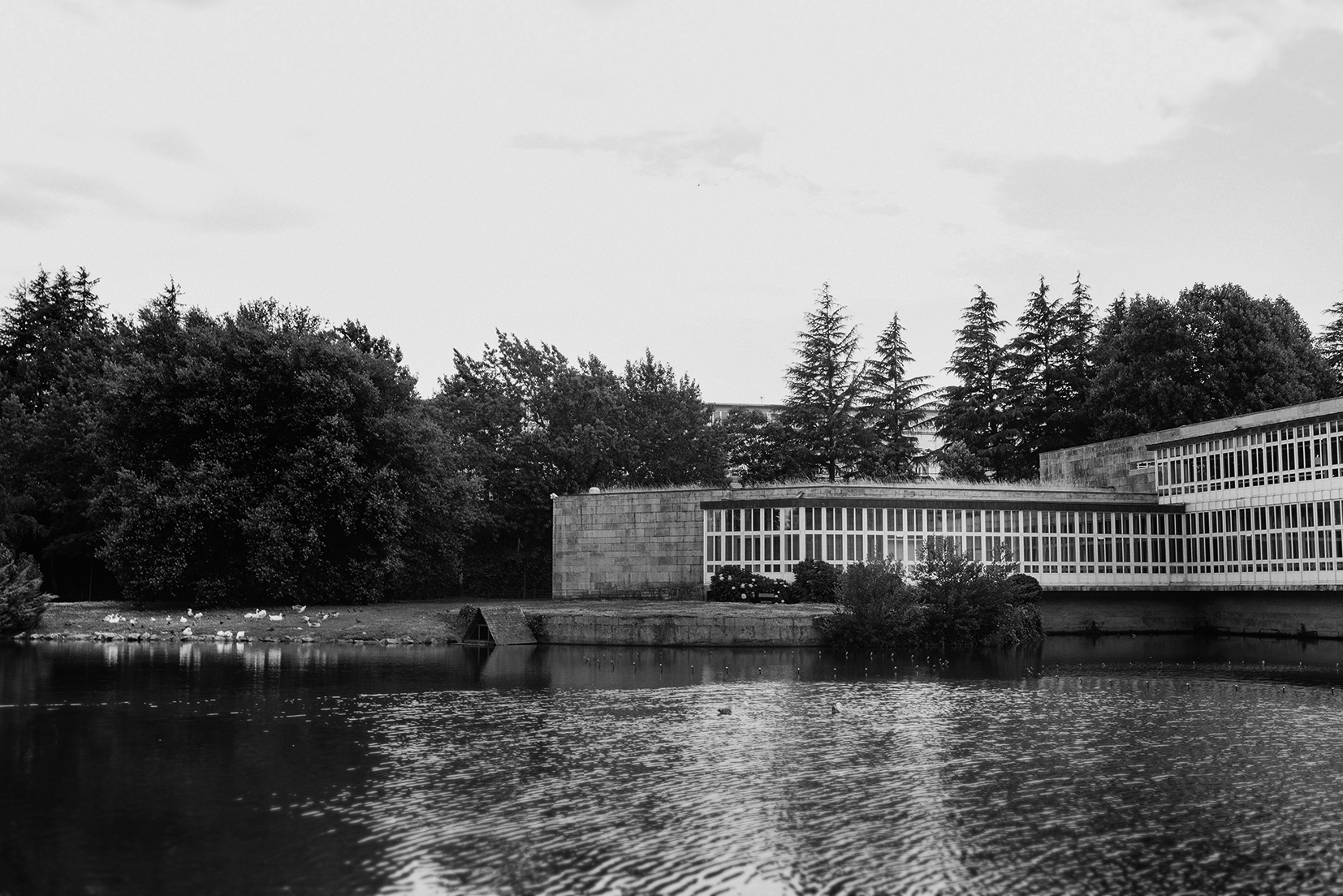 SANDRA&ANGELO.BODA – La Escena Iluminada